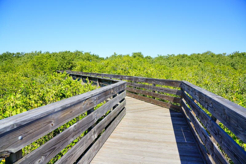 Boardwalk Crossing the Swamp Stock Image - Image of outdoor, bridge ...