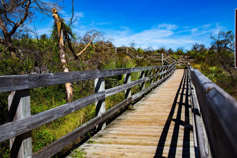 Boardwalk Hiking Path in a Forest Stock Photo - Image of hiking, summer ...