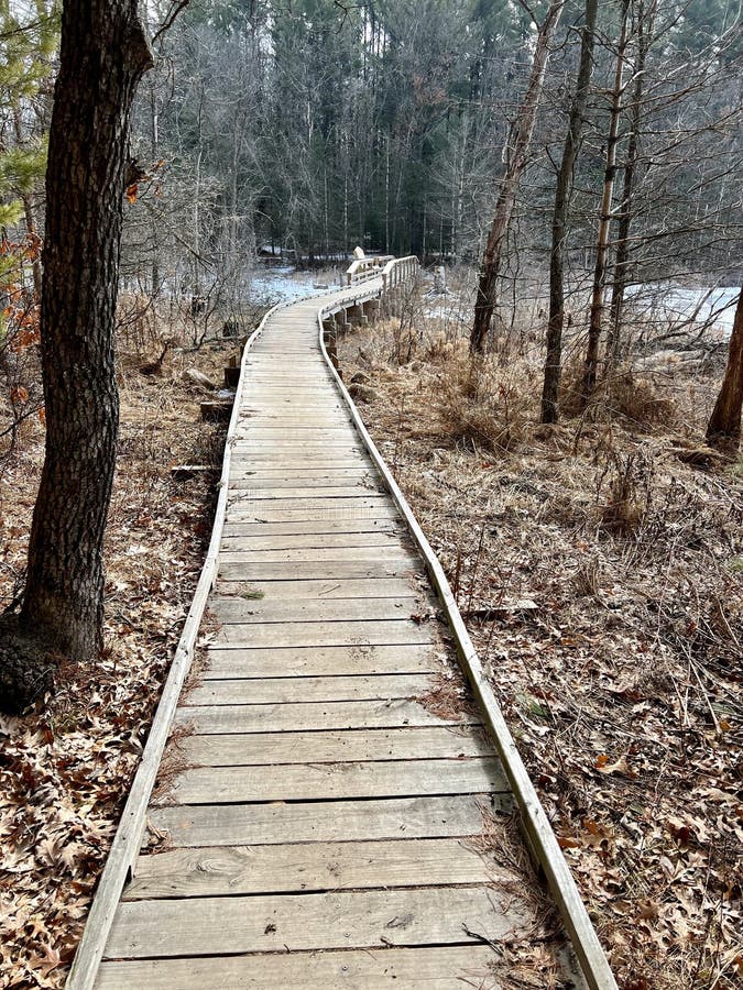 Boardwalk on the Ice Age Trail Stock Photo - Image of outdoors, hiking ...