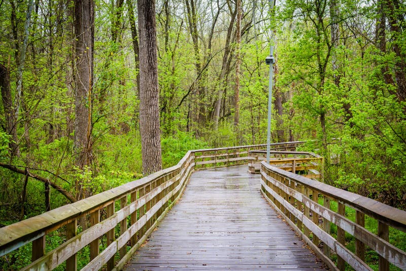 Boardwalk at Lake Roland Park, in Baltimore, Maryland. Stock Photo ...