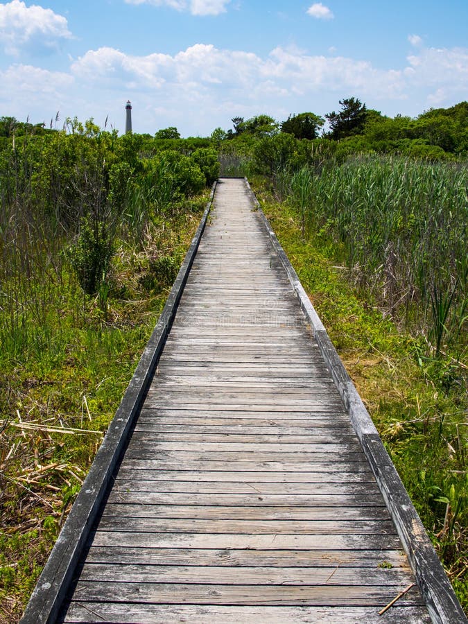 Boardwalk through Marsh, Cape May Lighthouse, New Jersey Stock Photo ...