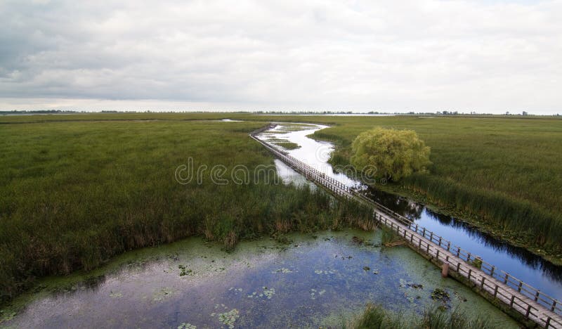 Boardwalk over marsh stock image. Image of ecosystem - 15966669