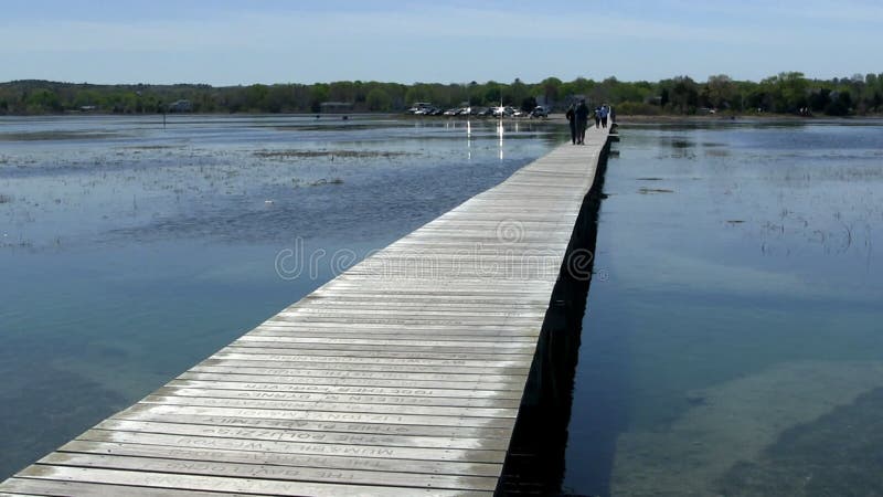Boardwalk over marsh stock footage. Video of picturesque - 347566514