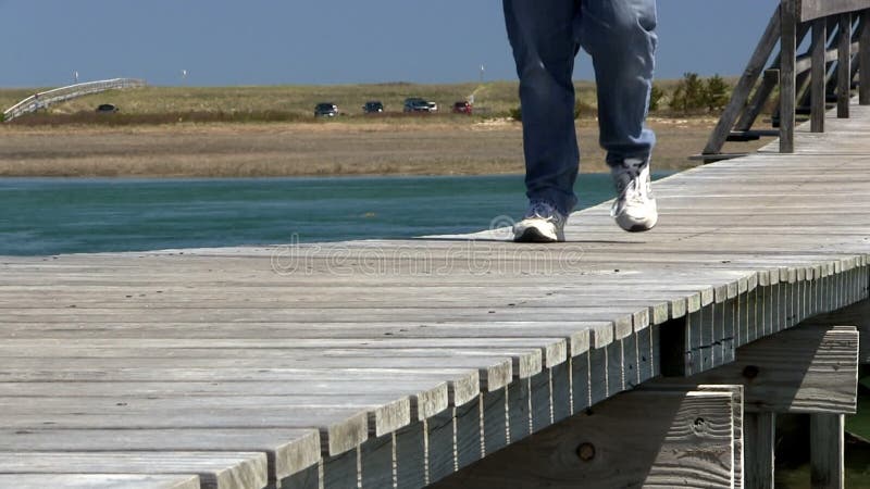 Boardwalk over marsh stock footage. Video of ocean, destination - 347565898