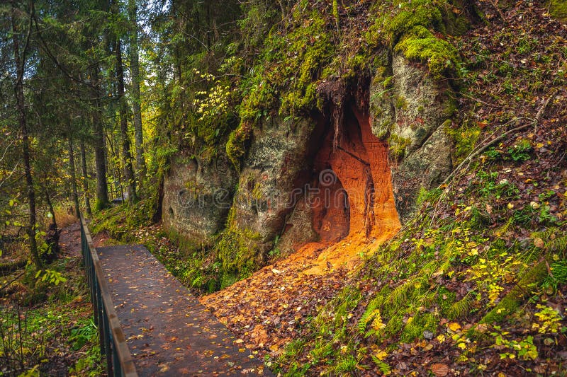 Boardwalk Path through Autumn Forest. Raiskums Red Cliffs Trail Stock ...