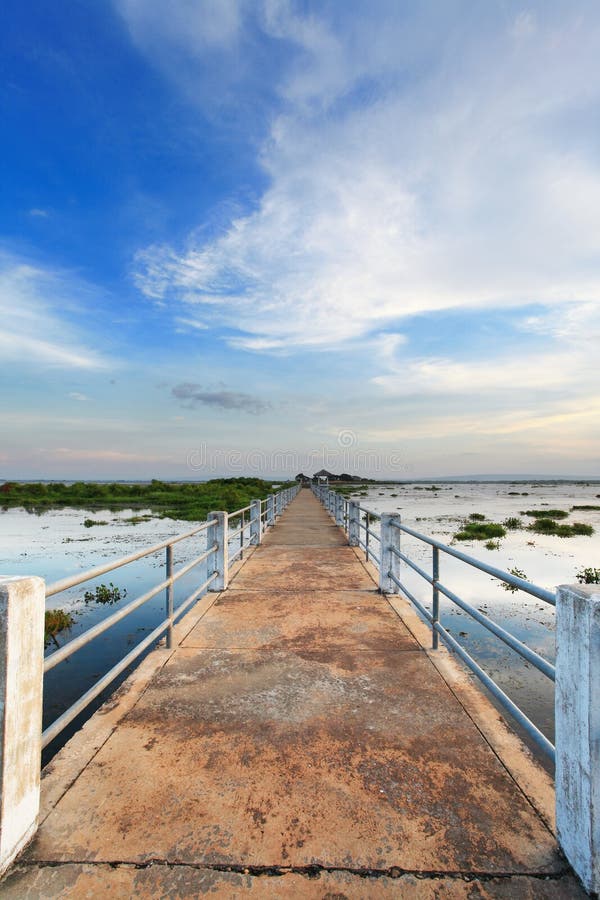 Boardwalk Pathway Over Lake and Swamp Stock Image - Image of nostalgic ...