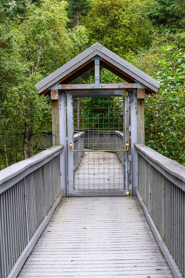 Boardwalk with Railing through a Forest on a Cloudy Day, Katmai ...