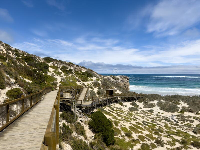 Boardwalk at Seal Bay, Kangaroo Island Stock Photo - Image of outdoors ...