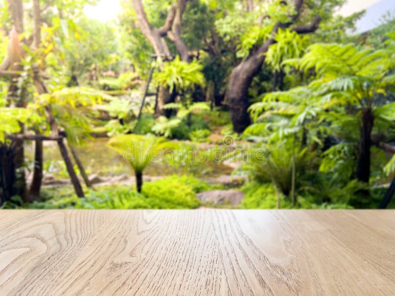 Boardwalk and Spring Green Field Abstract Stock Image - Image of garden ...