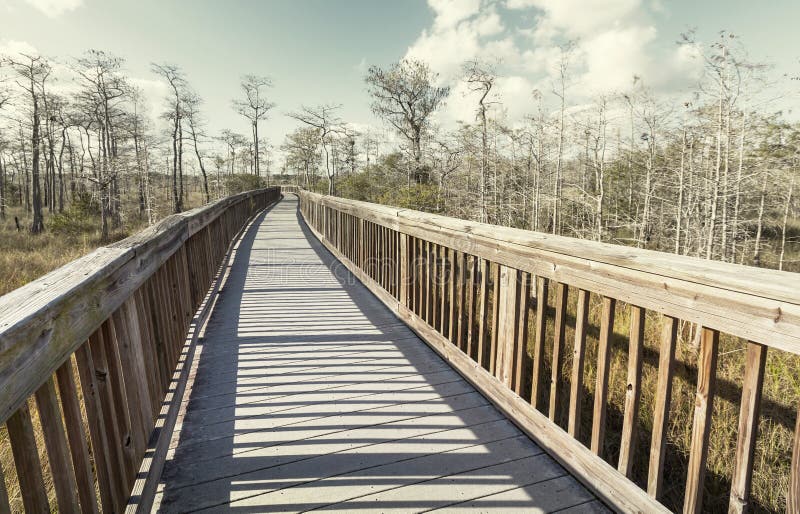 Boardwalk in swamp stock image. Image of park, paradise - 108218413