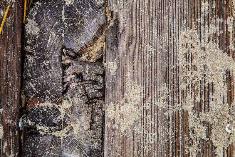 Boardwalk texture stock image. Image of closeup, pattern - 92354455
