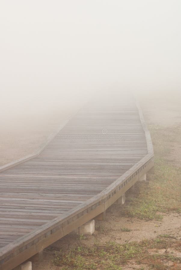 Pathway Unclear Stock Photos - Free & Royalty-Free Stock Photos from ...