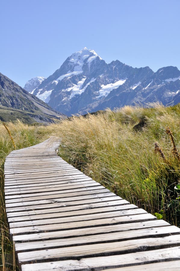 Boardwalk Towards Mount Cook (New Zealand) Stock Image - Image of ...