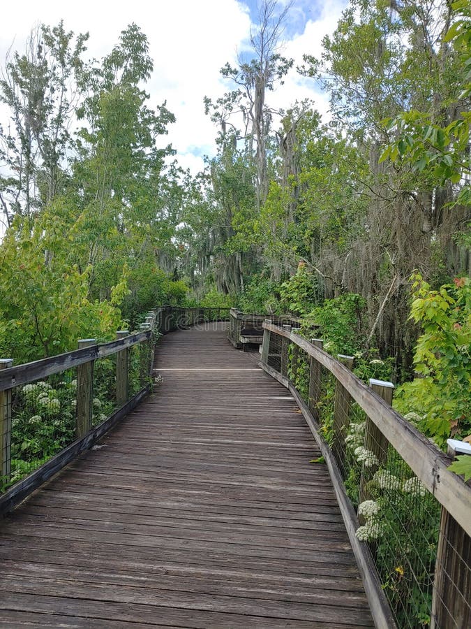 Boardwalk Trail in Oakland Nature Preserve Stock Photo - Image of ...