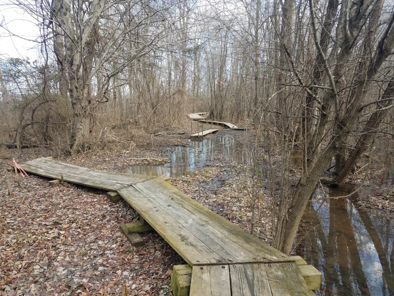 Boardwalk Trail or Path in Wetland or Swamp with Trees Stock Image ...
