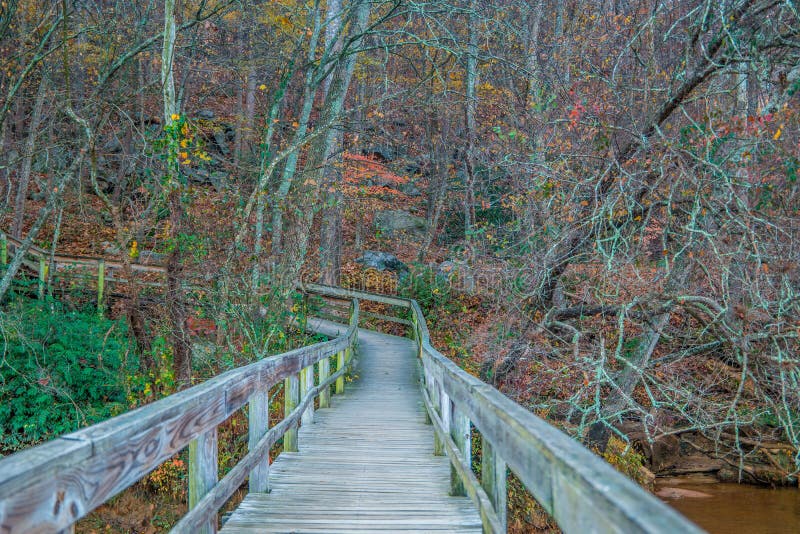 Boardwalk Trail at the River Stock Photo - Image of recreational ...