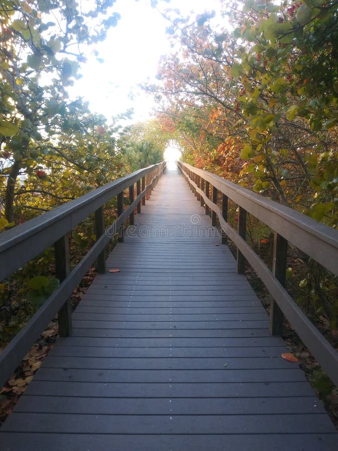 Boardwalk stock image. Image of boardwalk, light, pretty - 157533285