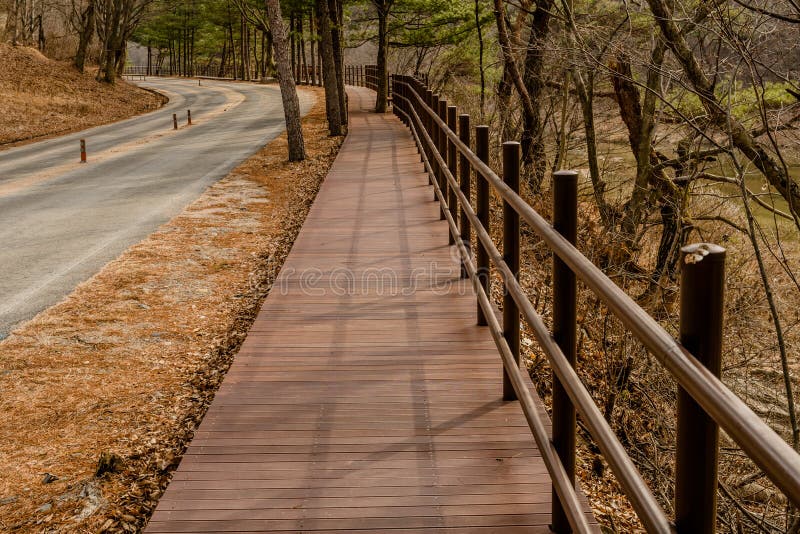 Boardwalk beside Two Lane Rural Road Stock Image - Image of county ...