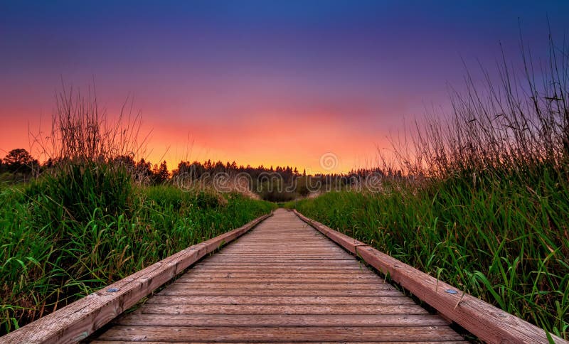 Sunset boardwalk stock image. Image of sunlight, foliage - 121081955