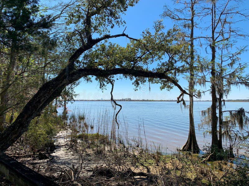 Mobile, Alabama Skyline on the Horizon from Blakeley State Park is ...