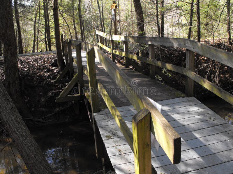 Boardwalk stock photo. Image of nature, ramp, lands, boardwalk - 91383936