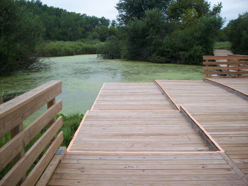 Boardwalk through Wetland stock photo. Image of bridge - 53771898