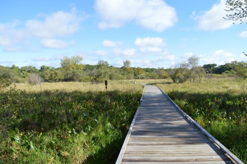 Boardwalk in the Wetland stock image. Image of boardwalk - 77312269