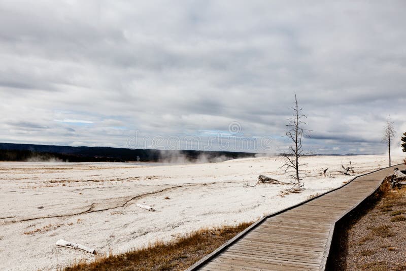 Boardwalk in yellowstone stock photo. Image of path, park - 20627448