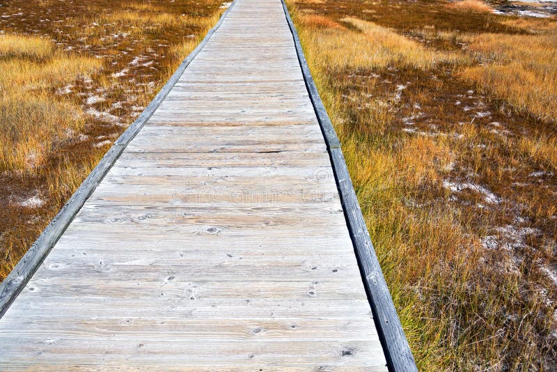 Boardwalk in Yellowstone National Park Stock Image - Image of natural ...