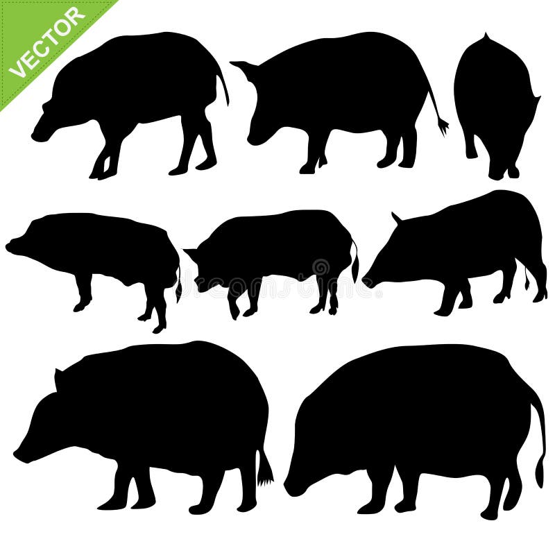Boars Tusk Stock Illustrations – 59 Boars Tusk Stock Illustrations ...