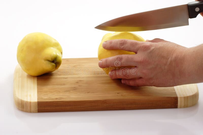 Boasting stock photo. Image of plant, oblonga, boasting - 3454984