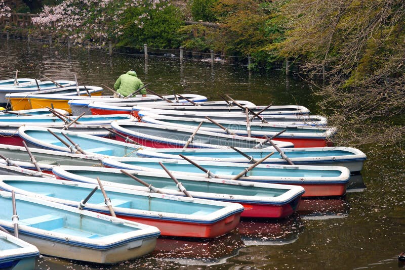 Old Wooden Boat Dock, Going Far Out To Sea. Stock Photo - Image of pier ...
