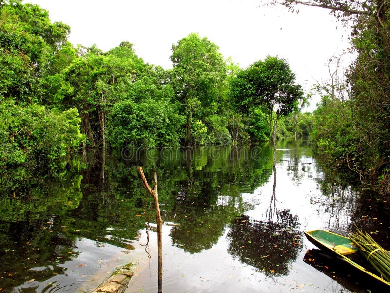 The Boat in Amazon River in Peru, South America Stock Image - Image of ...