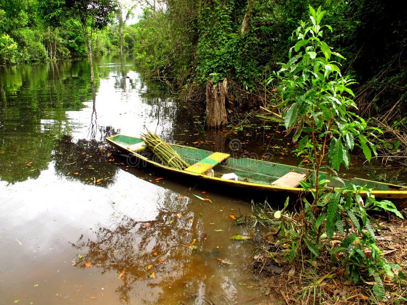 The Boat in Amazon River in Peru, South America Stock Image - Image of ...