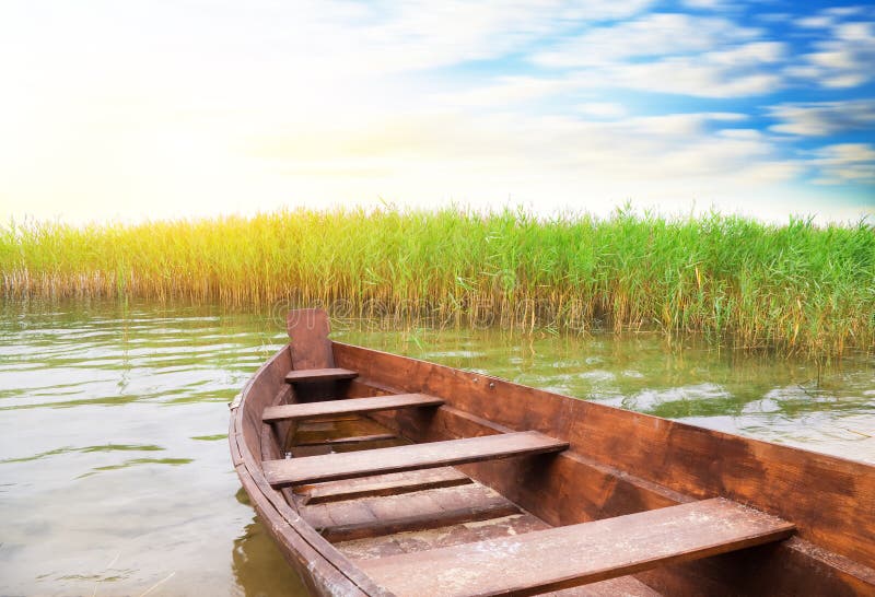 Boat on the bank of lake stock photo. Image of herbage - 31323022