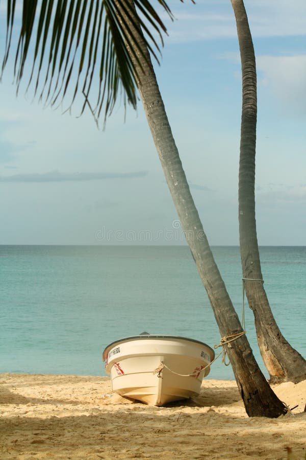 Boat on the beach stock image. Image of boat, palm, beach - 10762177