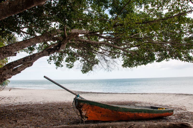 Boat, beach and tree stock photo. Image of scenic, boat - 28830570
