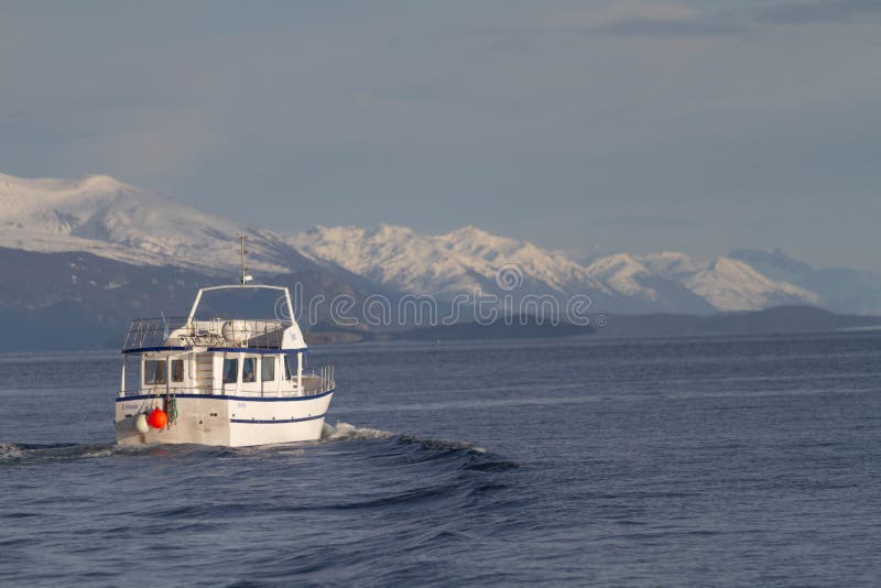 Boat in Beagle Channel, Ushuaia, Argentina Stock Image - Image of ...