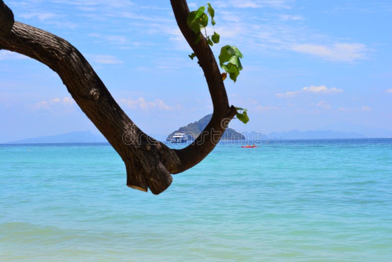 Boat behind tree trunk stock image. Image of splash, trunk - 39715611