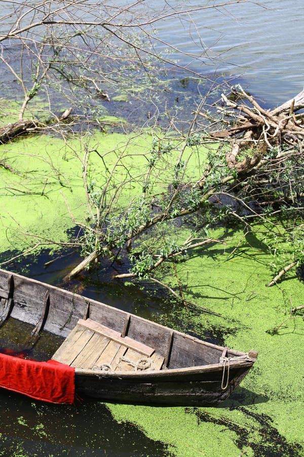 Boat stock image. Image of boat, wood, ashore, dream - 45049007