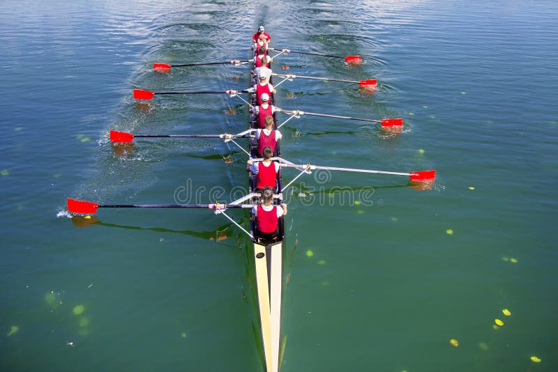 Women`s Rowing Team on Blue Water Stock Photo - Image of strong, river ...
