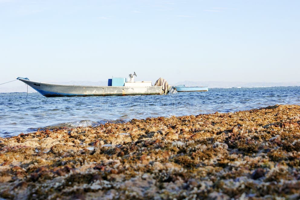 Boat in Dahab. stock photo. Image of idyllic, back, harmony - 68201382