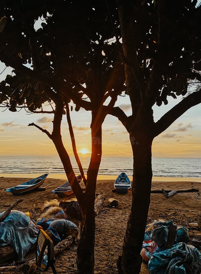 Dawn at the Sea Beach of Vietnam Stock Photo - Image of dawn, green ...