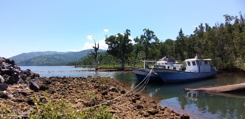Boat Fisherman in Mangrove Forest Stock Photo - Image of coast ...