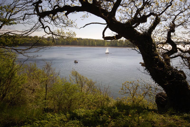 Boat and forest stock image. Image of beauty, peninsula - 8020853