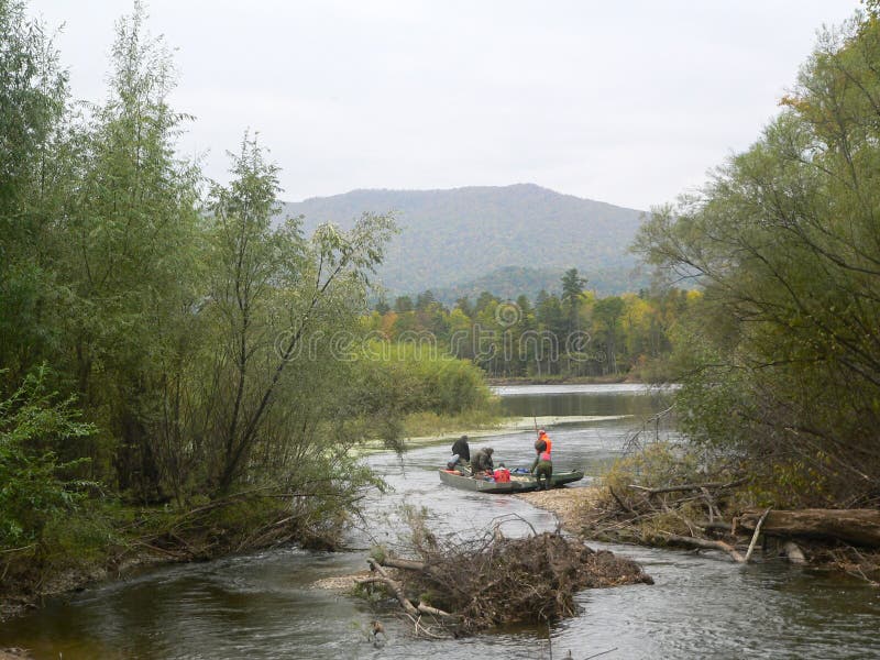 Boat on a forest river stock image. Image of forest, canoe - 95151795