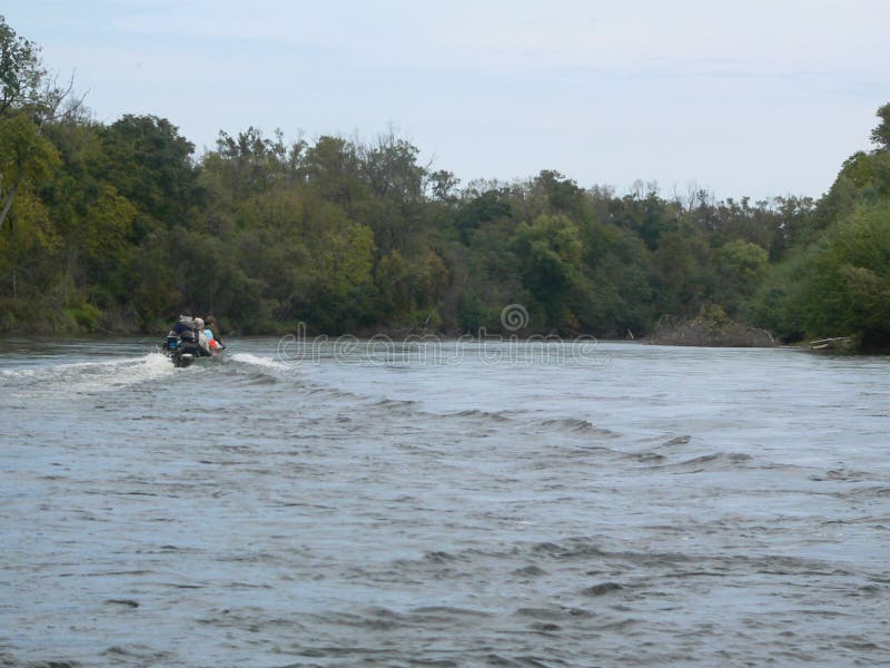 Boat on a forest river stock photo. Image of kray, river - 95152056