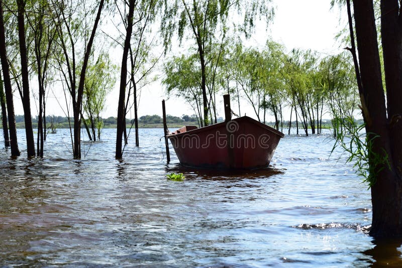 A boat in front stock photo. Image of boating, wetland - 287220130