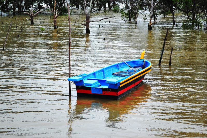 Tree Pf Life Stock Photos - Free & Royalty-Free Stock Photos from ...