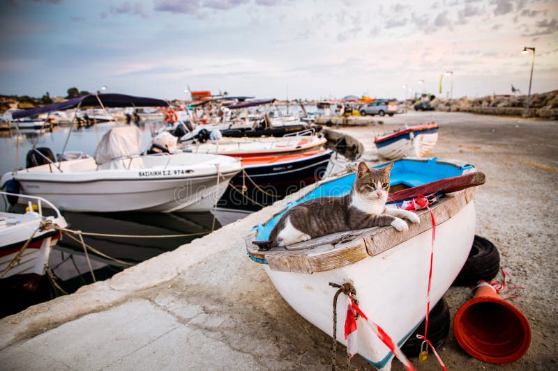 Boat on a Greek Island at Sunrise Stock Image - Image of yacht, cliff ...